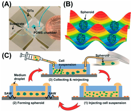 Recent Advances in Three-Dimensional Multicellular Spheroid Culture and ...