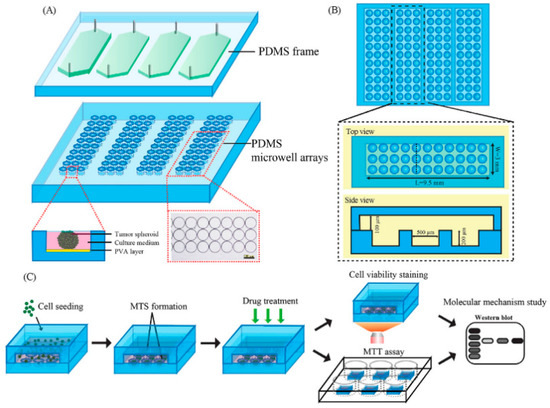 Recent Advances in Three-Dimensional Multicellular Spheroid Culture and ...
