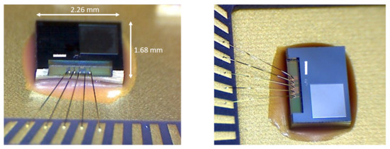 Thermal Sensors for Contactless Temperature Measurements, Occupancy ...
