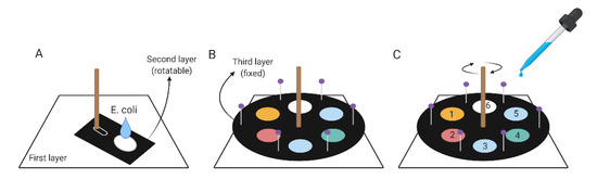 Turntable Paper-Based Device to Detect Escherichia coli