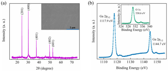 Electrical Characterizations of Planar Ga2O3 Schottky Barrier Diodes