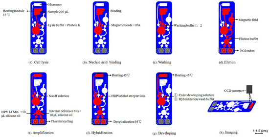 A Sample-In-Answer-Out Microfluidic System for the Molecular ...