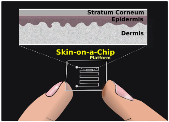 Development of Skin-On-A-Chip Platforms for Different Utilizations ...