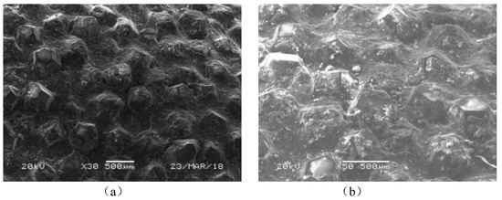 Micromachines | Special Issue : Micro and Nano Machining Processes