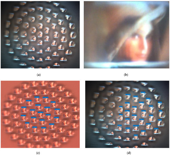 Design and Integration of the Single-Lens Curved Multi-Focusing ...
