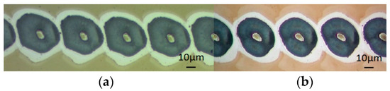 Laser–Material Interactions of High-Quality Ultrashort Pulsed Vector ...
