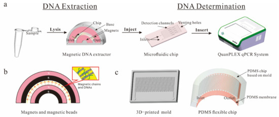 Magnetic Bead Chain-Based Continuous-Flow DNA Extraction for ...