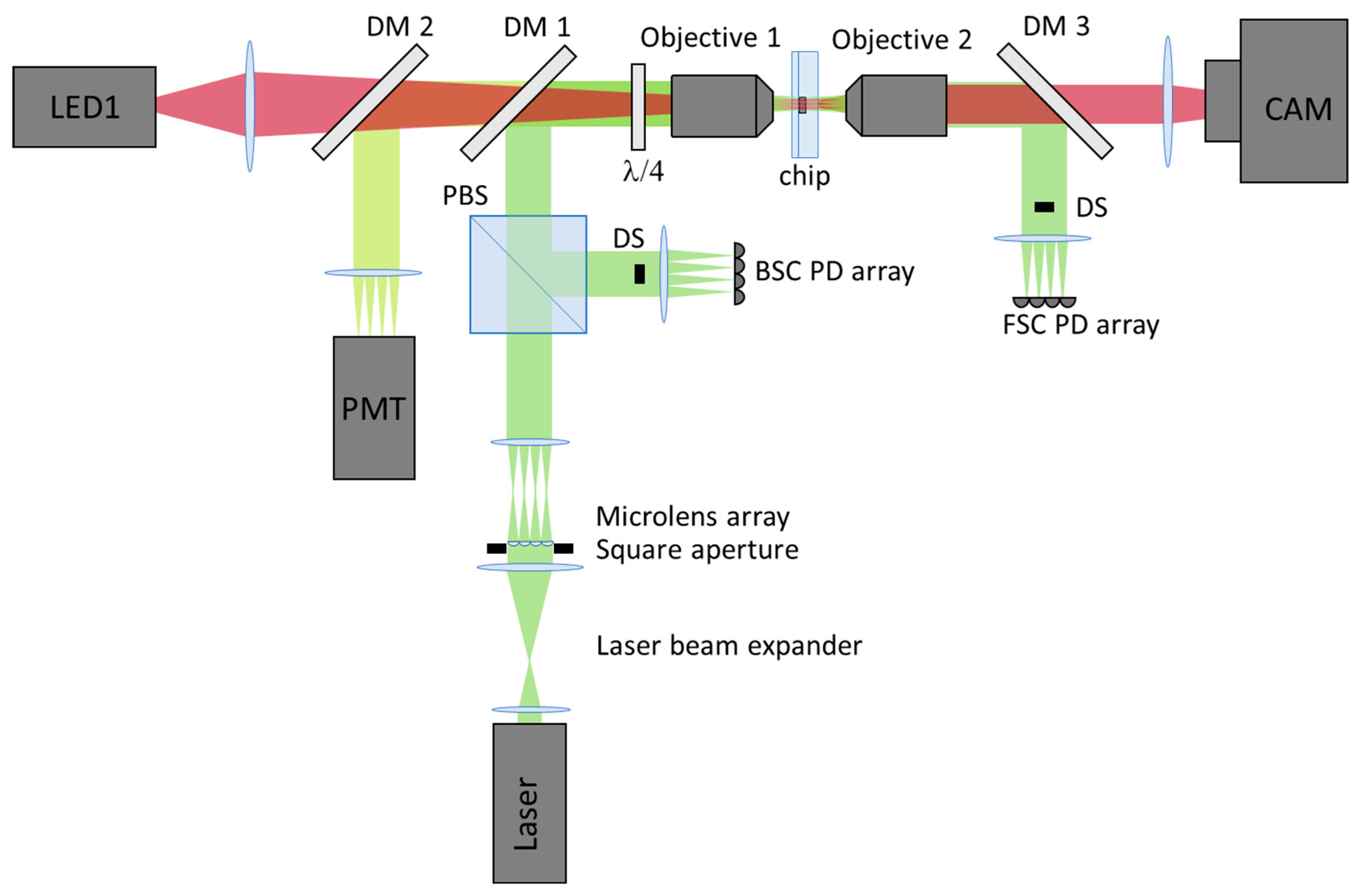 Extremely High-Throughput Parallel Microfluidic Vortex-Actuated Cell Sorting