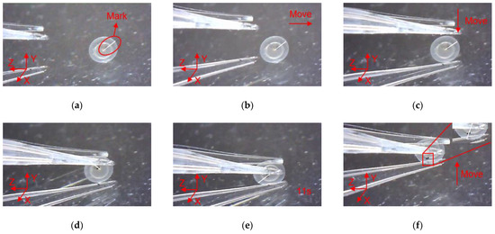 Design, Fabrication, and Testing of a Novel 3D 3-Fingered ...