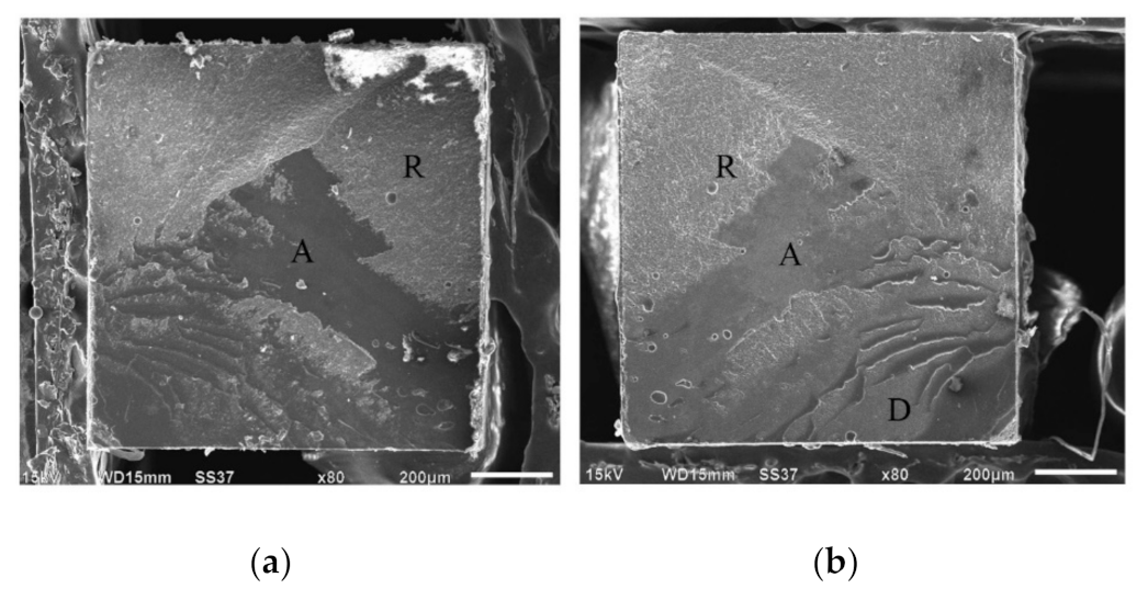 The Influence of Blade Type and Feeding Force during Resin Bonded ...