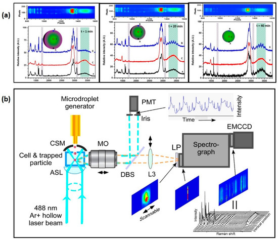 Micromachines | Free Full-Text | Optical-Trapping Laser Techniques for ...