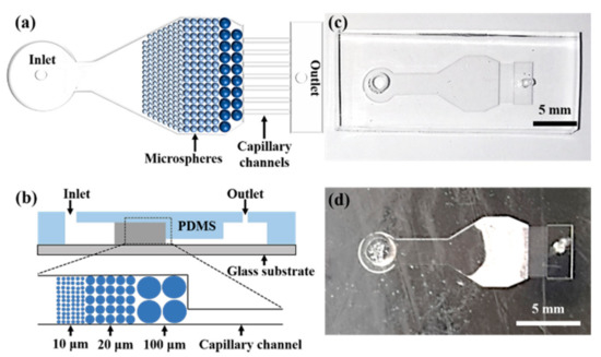 Microsphere-Based Microfluidic Device for Plasma Separation and ...