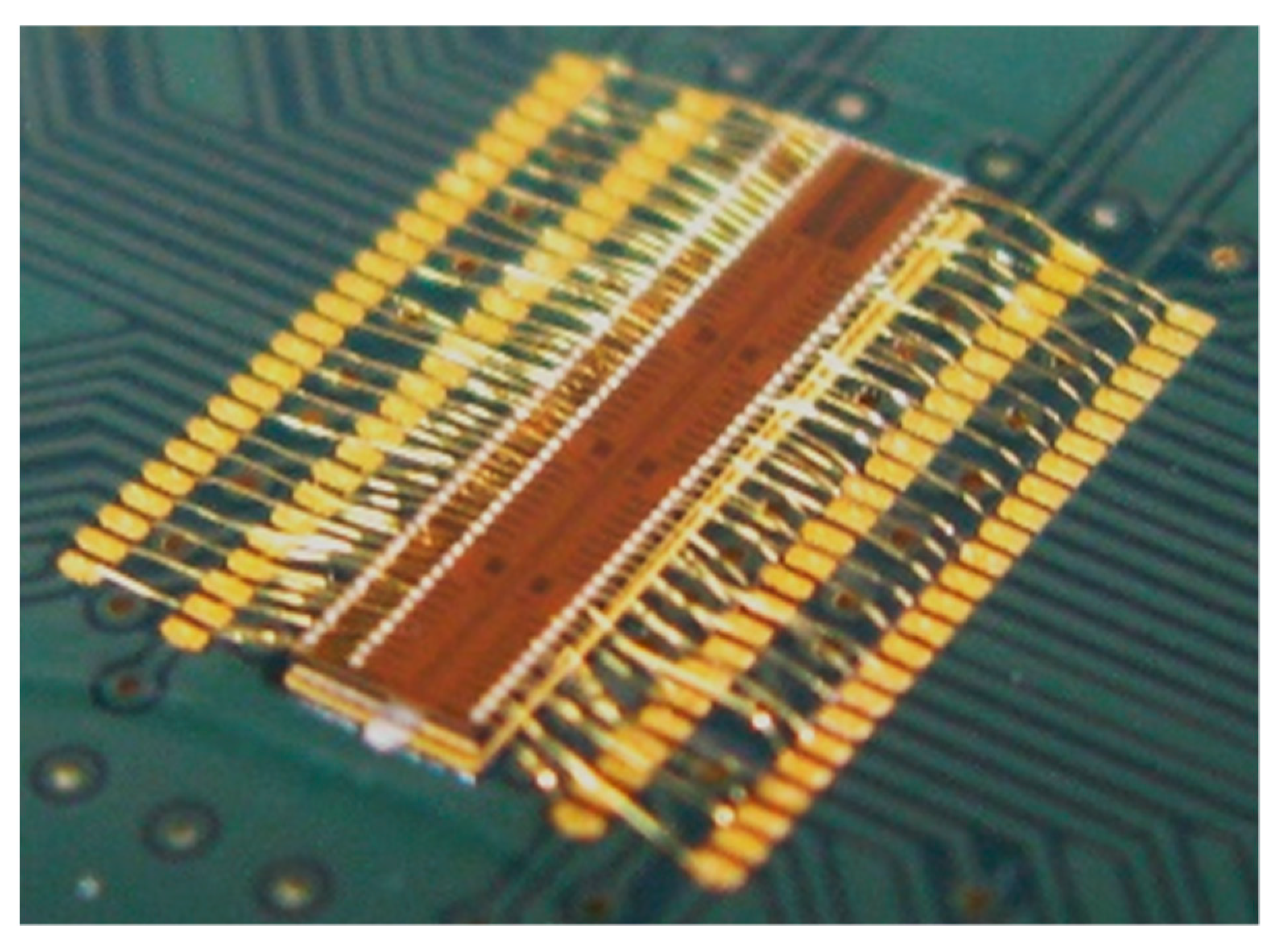 A Novel Approach for a Chip-Sized Scanning Optical Microscope
