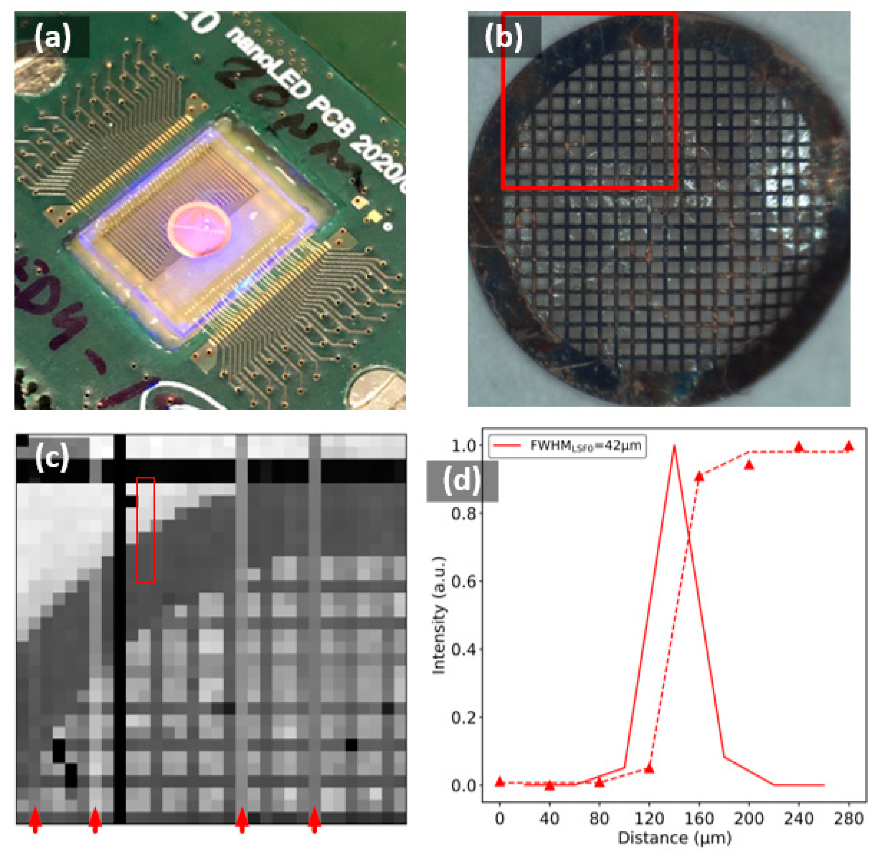 A Novel Approach for a Chip-Sized Scanning Optical Microscope