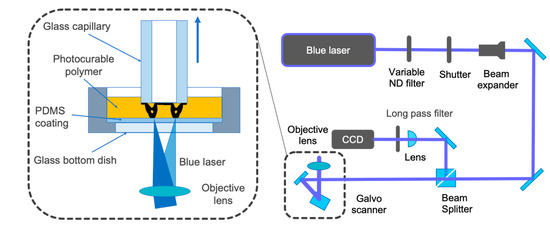 3D-Printed Micro-Tweezers with a Compliant Mechanism Designed Using ...