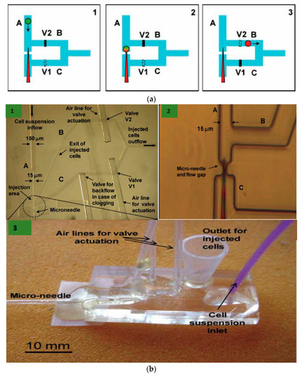 Micromachines | Free Full-Text | Microfluidic Based Physical Approaches ...