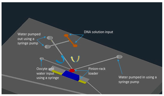 Microfluidic Based Physical Approaches towards Single-Cell ...