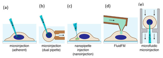Microfluidic Based Physical Approaches towards Single-Cell ...