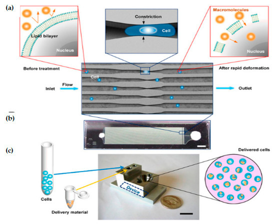 Microfluidic Based Physical Approaches towards Single-Cell ...