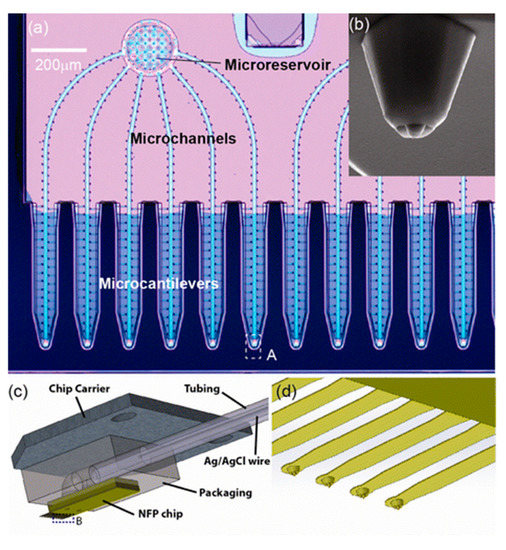 Microfluidic Based Physical Approaches towards Single-Cell ...