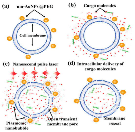 Microfluidic Based Physical Approaches towards Single-Cell ...