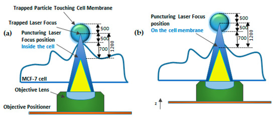 Microfluidic Based Physical Approaches towards Single-Cell ...