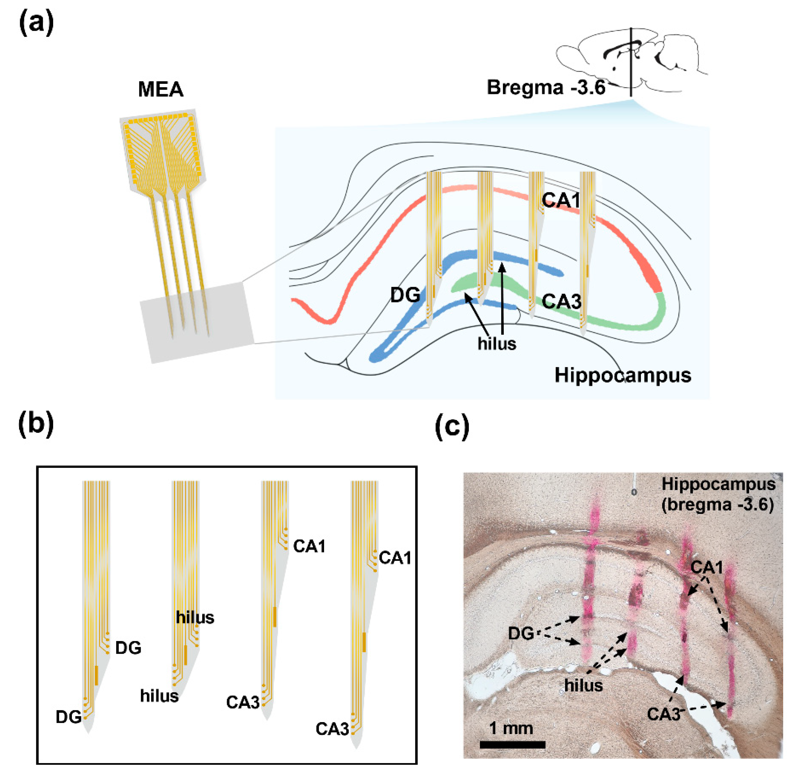 In Vivo Microelectrode Arrays for Detecting Multi-Region Epileptic ...