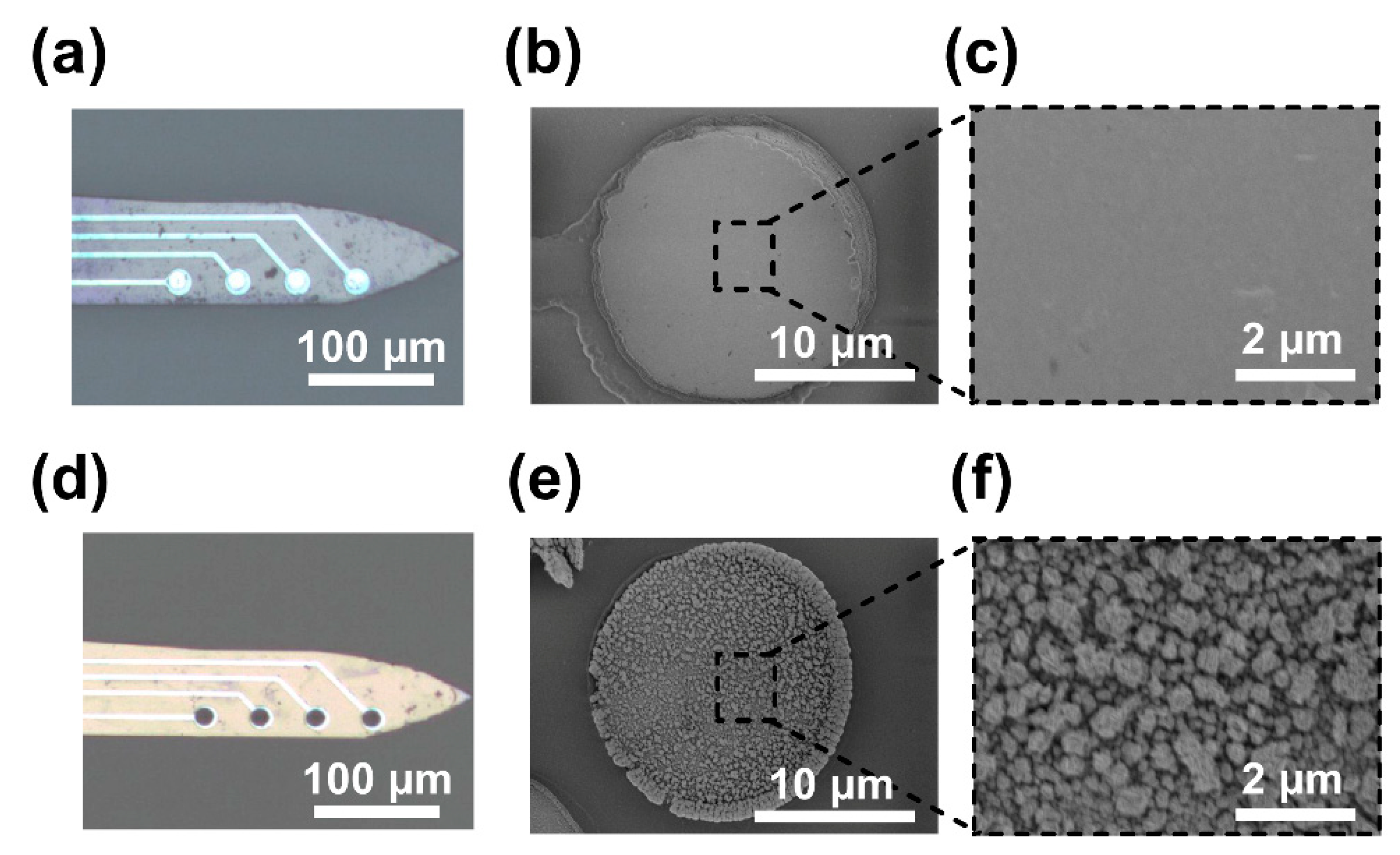 In Vivo Microelectrode Arrays for Detecting Multi-Region Epileptic ...
