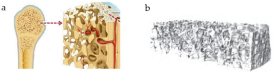 Design and Mechanical Properties Verification of Gradient Voronoi ...