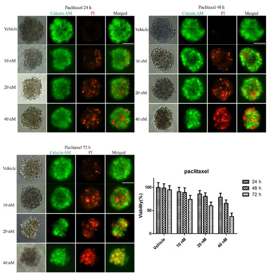 A Novel SimpleDrop Chip for 3D Spheroid Formation and Anti-Cancer Drug ...