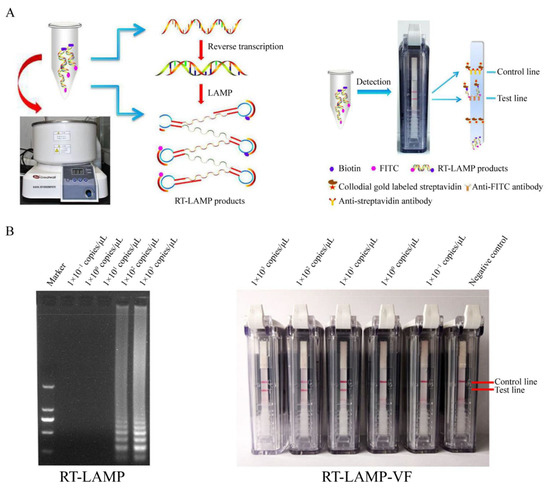 Methods of Respiratory Virus Detection: Advances towards Point-of-Care ...