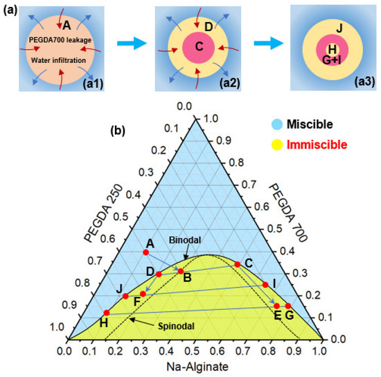 Micromachines | Free Full-Text | Fabrication of Multi-Layered ...