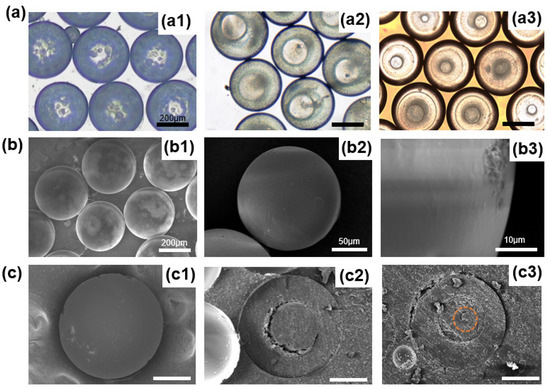 Micromachines | Free Full-Text | Fabrication of Multi-Layered ...
