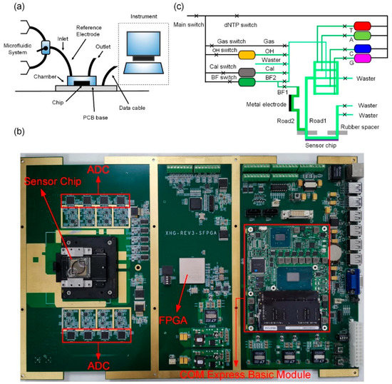 An ISFET Microarray Sensor System for Detecting the DNA Base Pairing