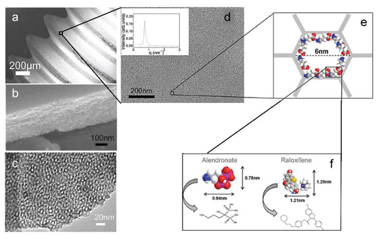 Functionalized Mesoporous Thin Films for Biotechnology