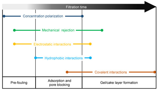 Membrane Fouling Phenomena in Microfluidic Systems: From Technical ...