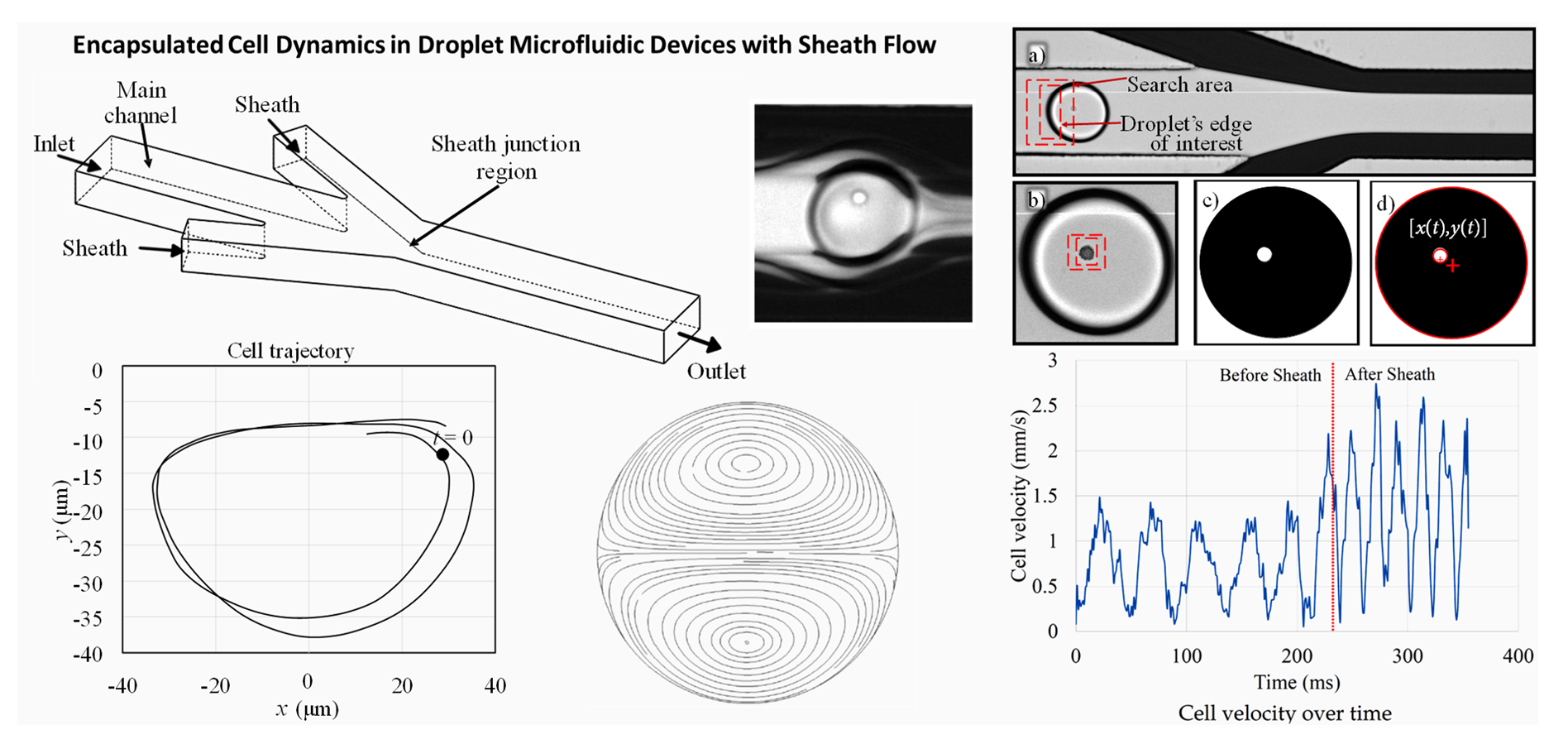 Micromachines | Free Full-Text | Encapsulated Cell Dynamics in Droplet Microfluidic Devices with ...