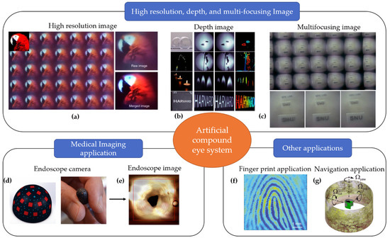 Artificial Compound Eye Systems and Their Application: A Review