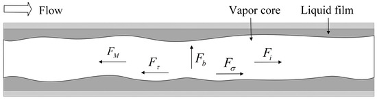 Experimental Study and Mechanism Analysis of the Flow Boiling and Heat ...
