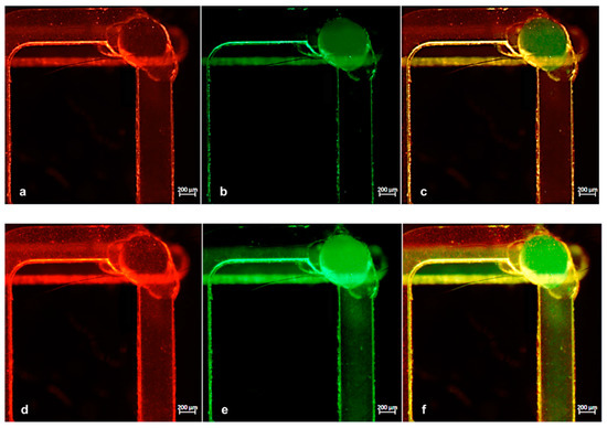 SMILE Platform: An Innovative Microfluidic Approach for On-Chip Sample ...