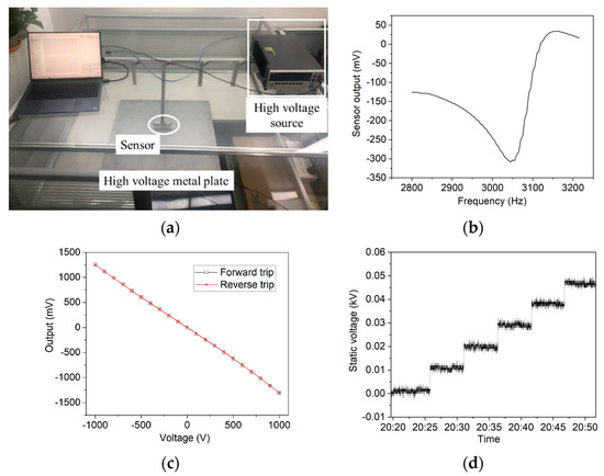 Resolution-Enhancing Structure for the Electric Field Microsensor Chip