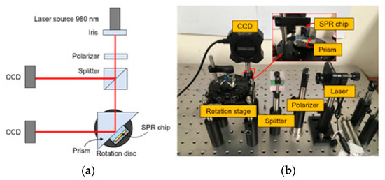 Air-Gap Interrogation of Surface Plasmon Resonance in Otto Configuration