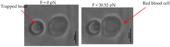 Lateral Deformation of Human Red Blood Cells by Optical Tweezers