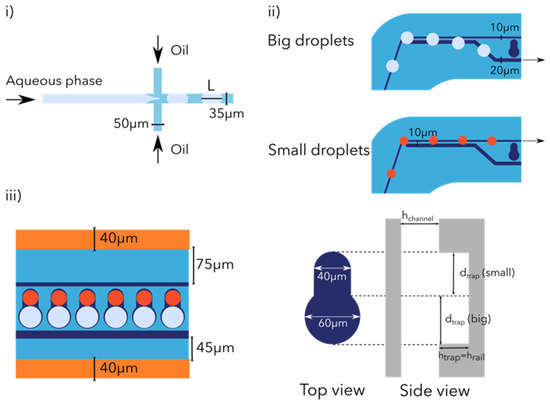 Microfluidic Device for Droplet Pairing by Combining Droplet Railing ...