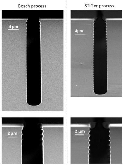 Comparison between Bosch and STiGer Processes for Deep Silicon Etching