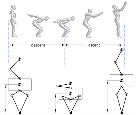 Micromachines | Free Full-Text | Bio-Inspired Take-Off Maneuver and ...