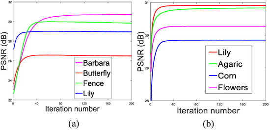 Micromachines | Free Full-Text | Simultaneous Patch-Group Sparse Coding with Dual-Weighted ℓp ...