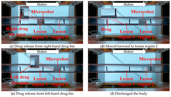 Performance Evaluation of a Magnetically Driven Microrobot for Targeted ...