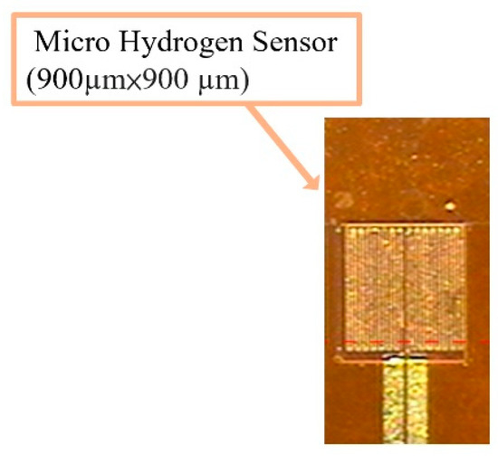 Low-Temperature Flexible Micro Hydrogen Sensor Embedded in a Proton ...