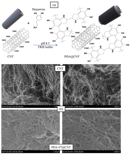 Improved Biomedical Properties of Polydopamine-Coated Carbon Nanotubes